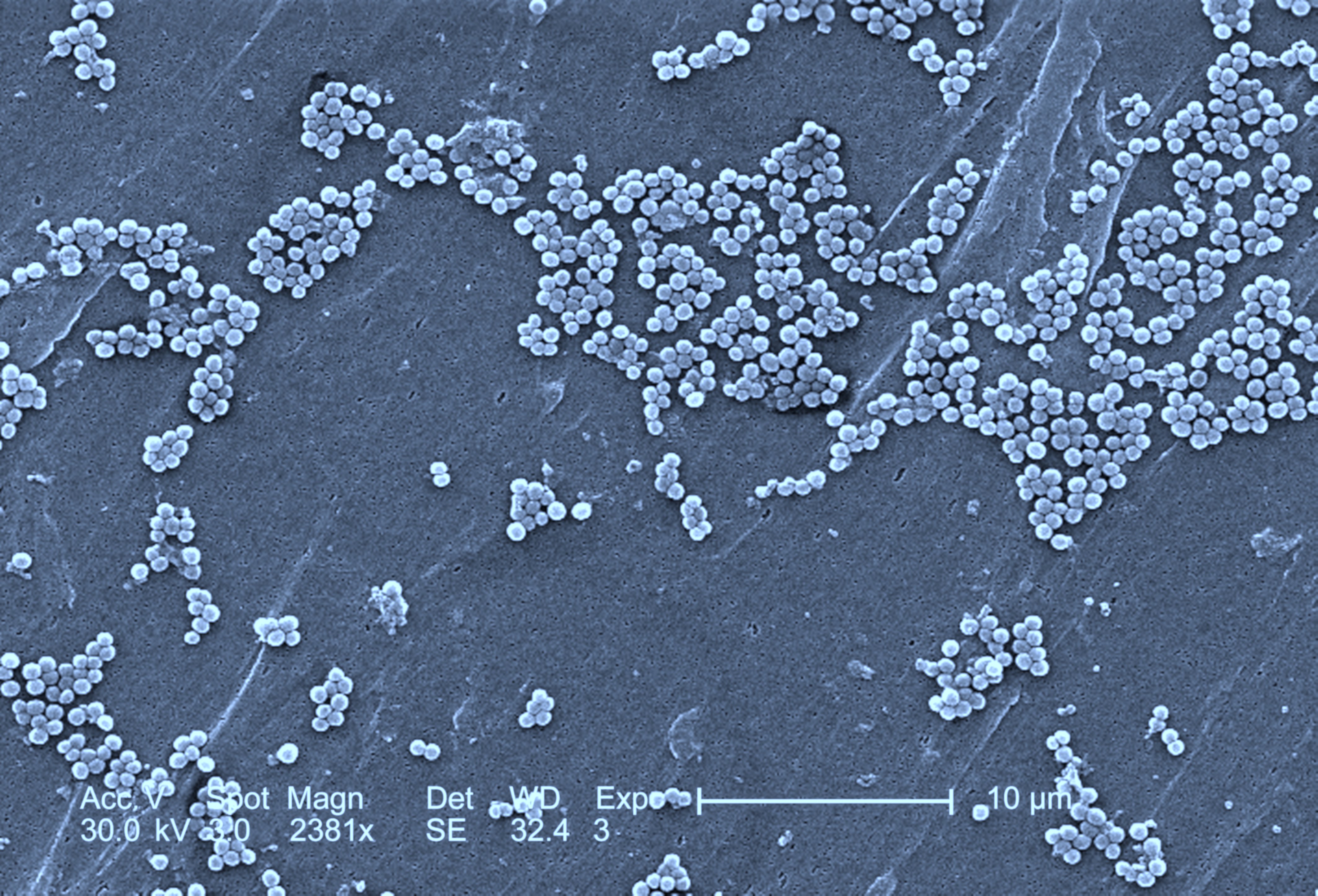 Kongress 'Multiresistente gramnegative Erreger' - euPrevent